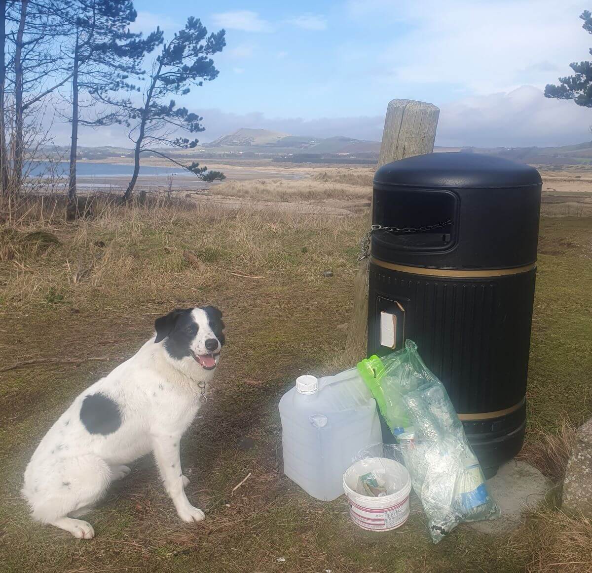LitterLotto announces first Fife winner | Fife Council